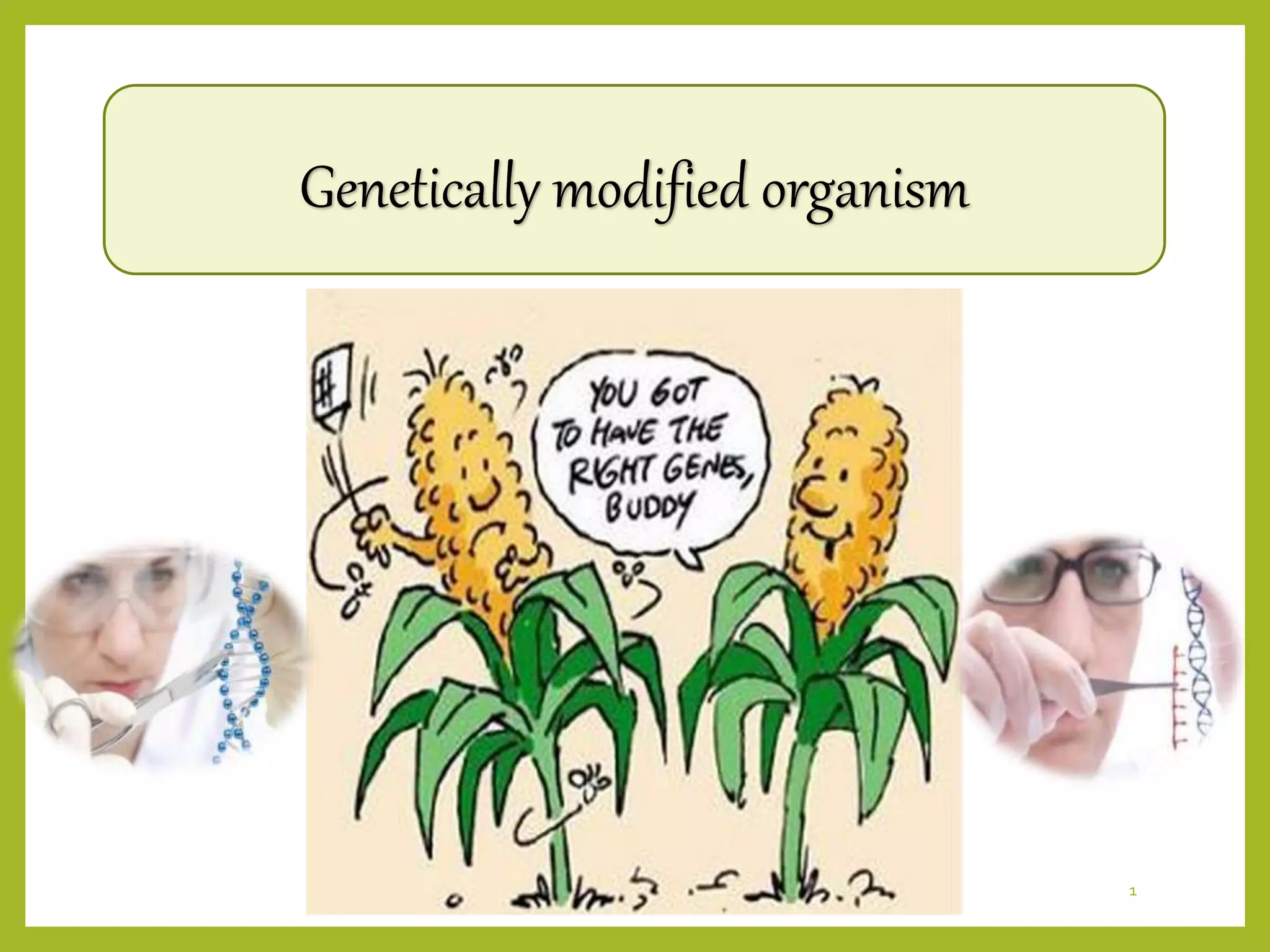 GMO, Genetically modified organisms, agricultural and horticultural ...