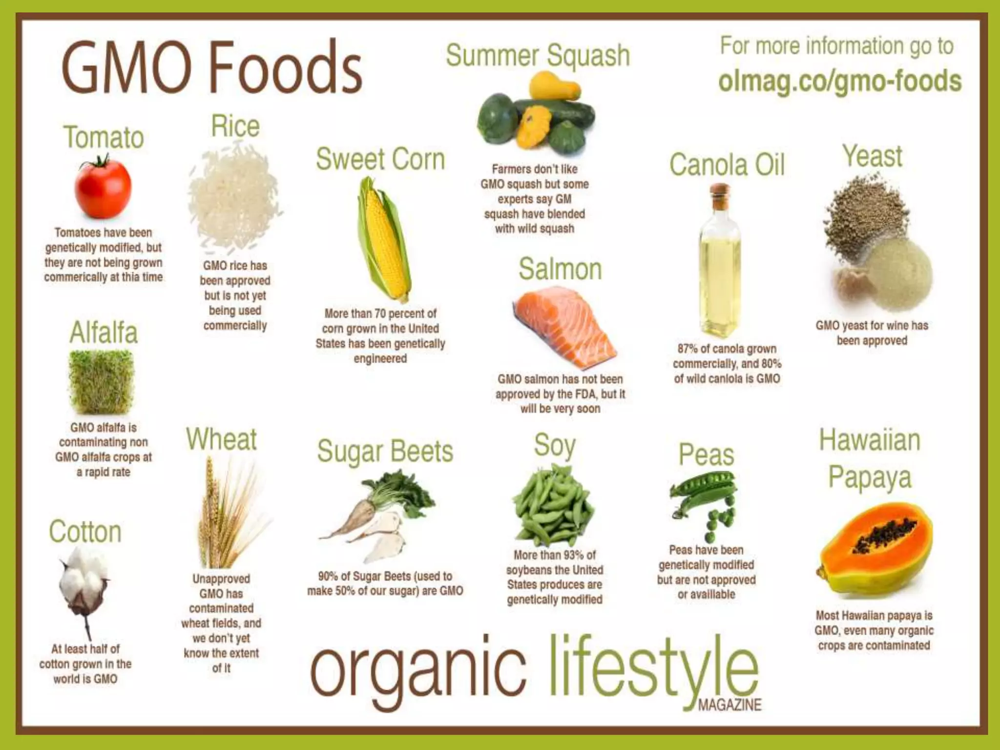 GMO, Genetically modified organisms, agricultural and horticultural ...