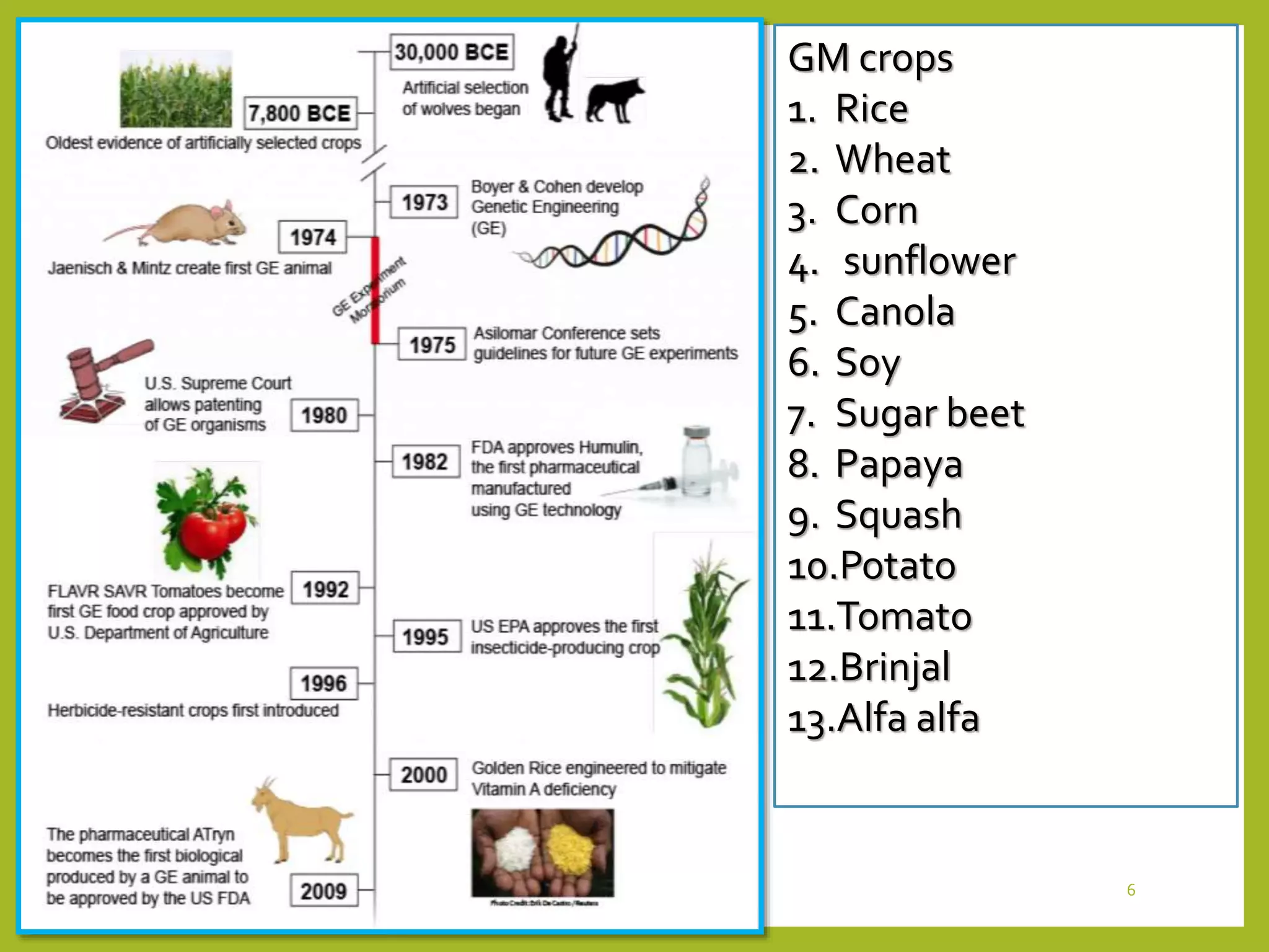 GMO, Genetically modified organisms, agricultural and horticultural ...