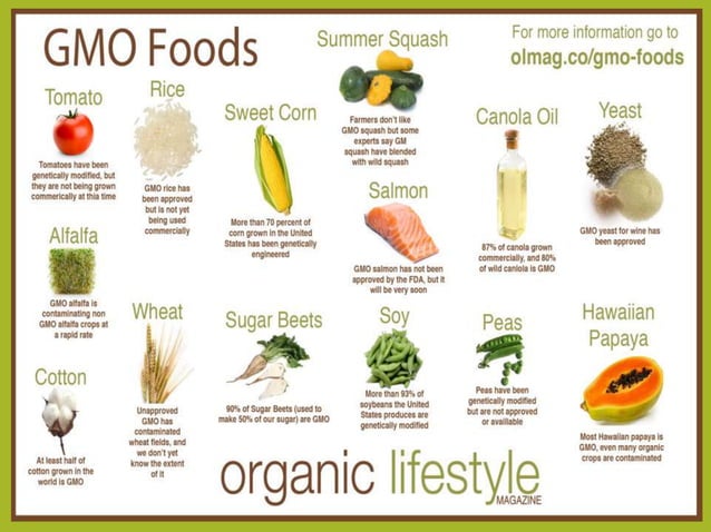 GMO, Genetically modified organisms, agricultural and horticultural crops current status in ...