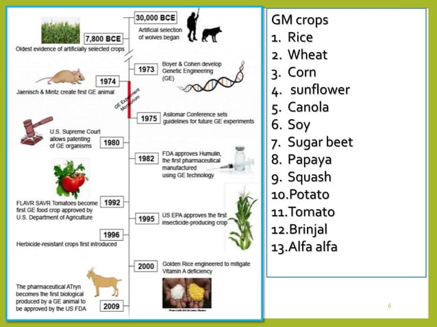 GMO, Genetically modified organisms, agricultural and horticultural crops current status in ...