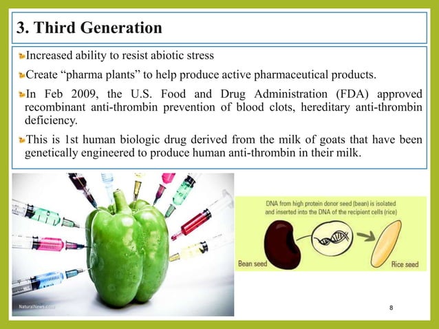 GMO, Genetically modified organisms, agricultural and horticultural crops current status in ...
