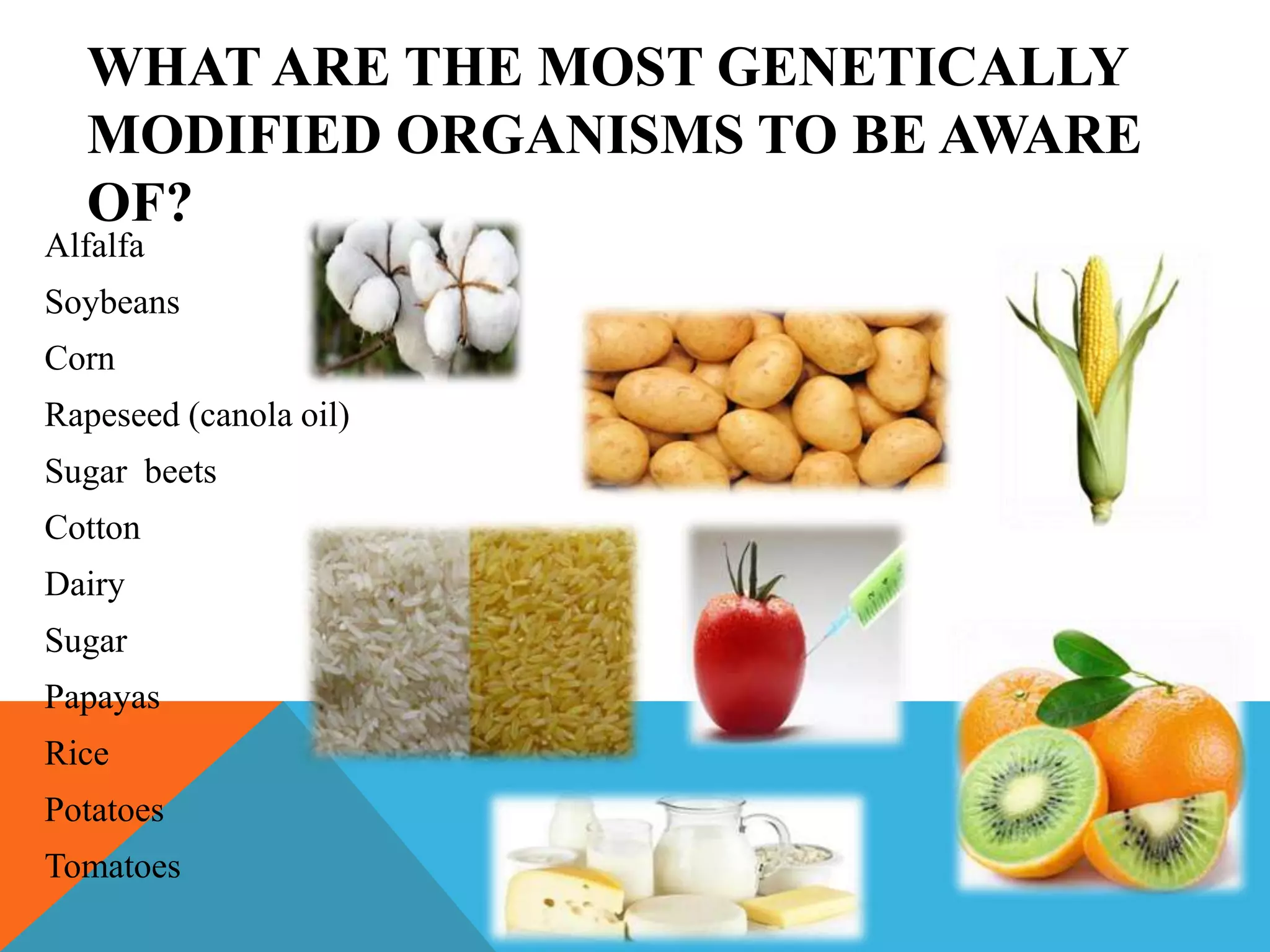 Gmo | PPTX