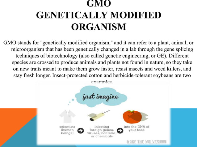 Gmo | PPT