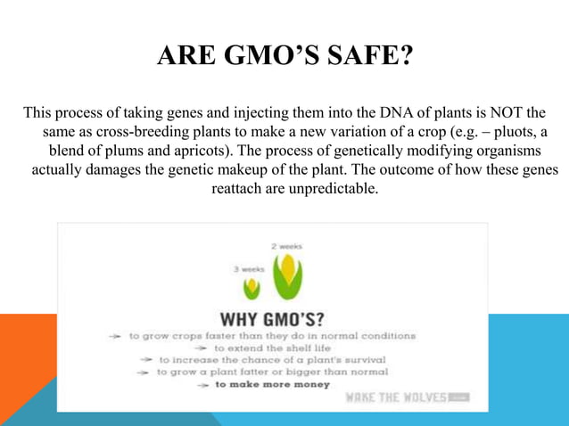 Gmo | PPTX