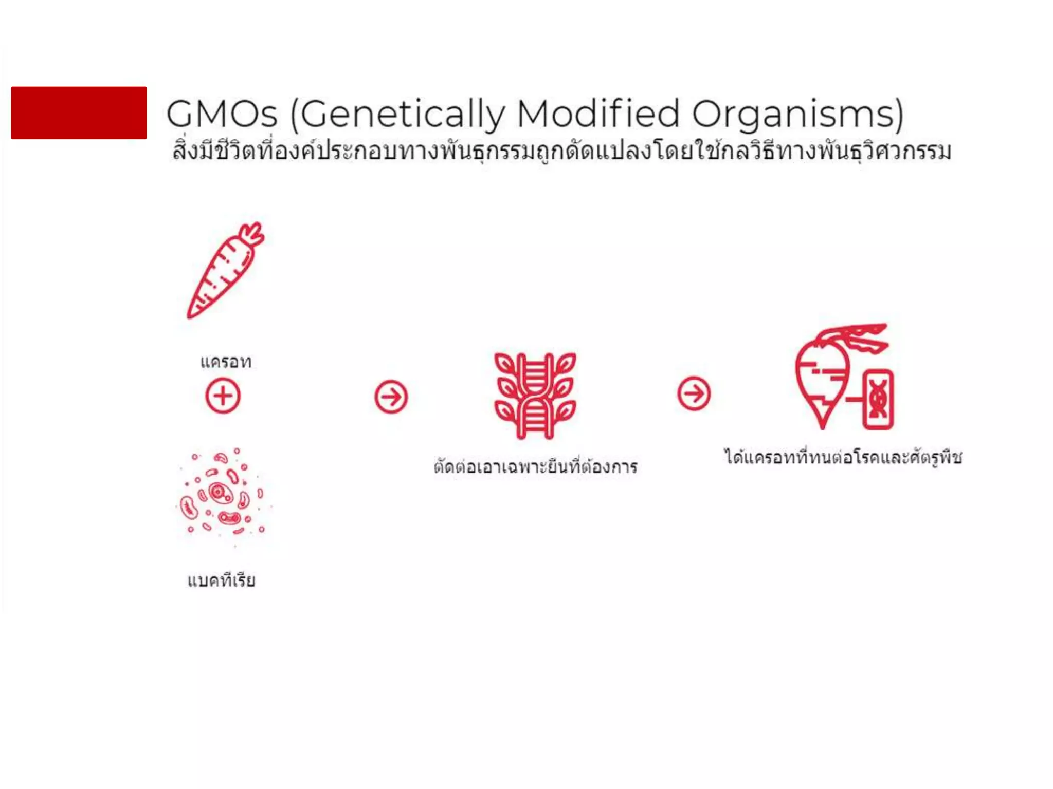 เราควรเลือกใช้ GMO หรือไม่? | PPT