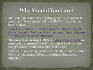 What is a GMO? | PPT | Agriculture | Industries