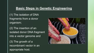 GMO / Genetically Modified Organism | PPT