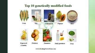 GMO / Genetically Modified Organism | PPTX