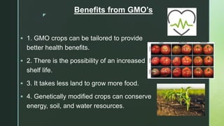 GMO / Genetically Modified Organism | PPTX