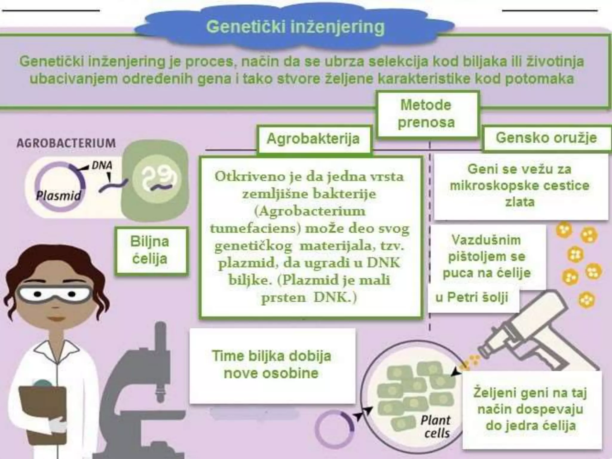 Geneticki modifikovani organizmi | PPT