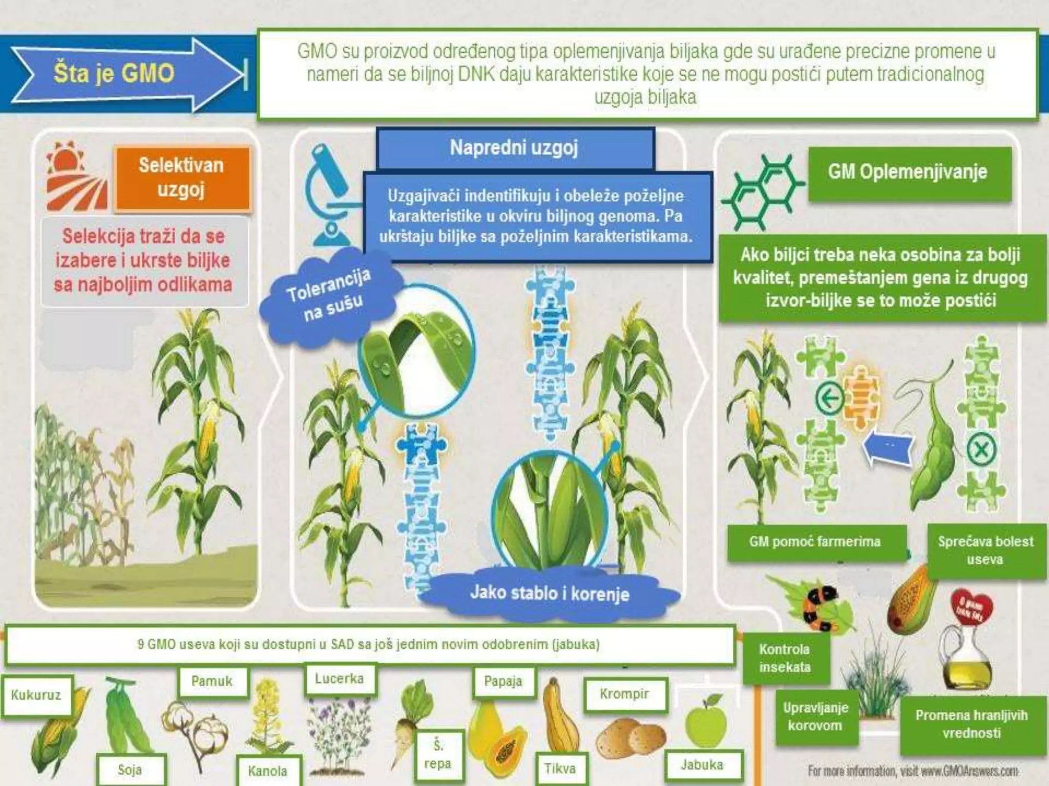 Geneticki modifikovani organizmi | PPT