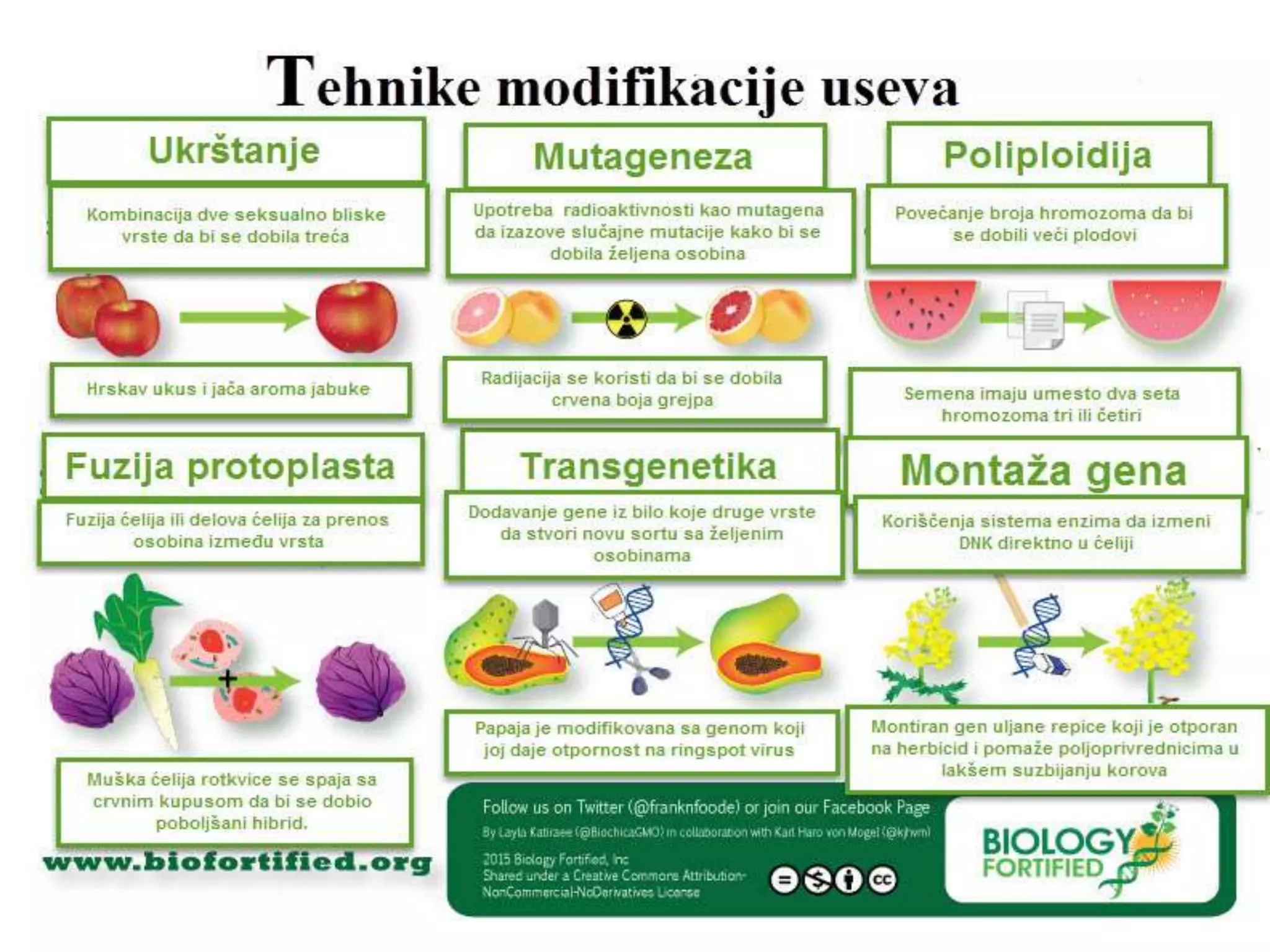 Geneticki modifikovani organizmi | PPT
