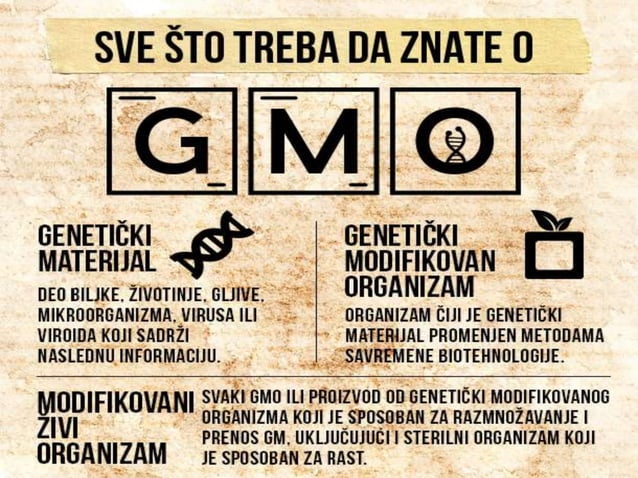 Geneticki modifikovani organizmi | PPT