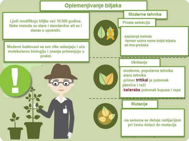 Geneticki modifikovani organizmi | PPT