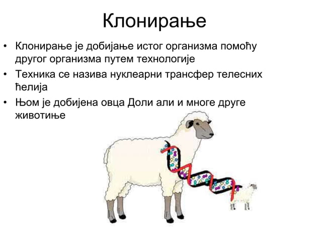 Geneticki modifikovani organizmi | PPT