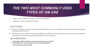 genetically modified organism (GMO) | PPTX