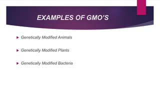 genetically modified organism (GMO) | PPTX | Biotech and Biomedical ...