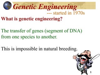 GMO.ppt