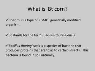 GMO_genetically modified organismxxxxxxxxxxxxxxxxxxxxxxxxxxxxxxxxxxxxxxxxxxx.ppt