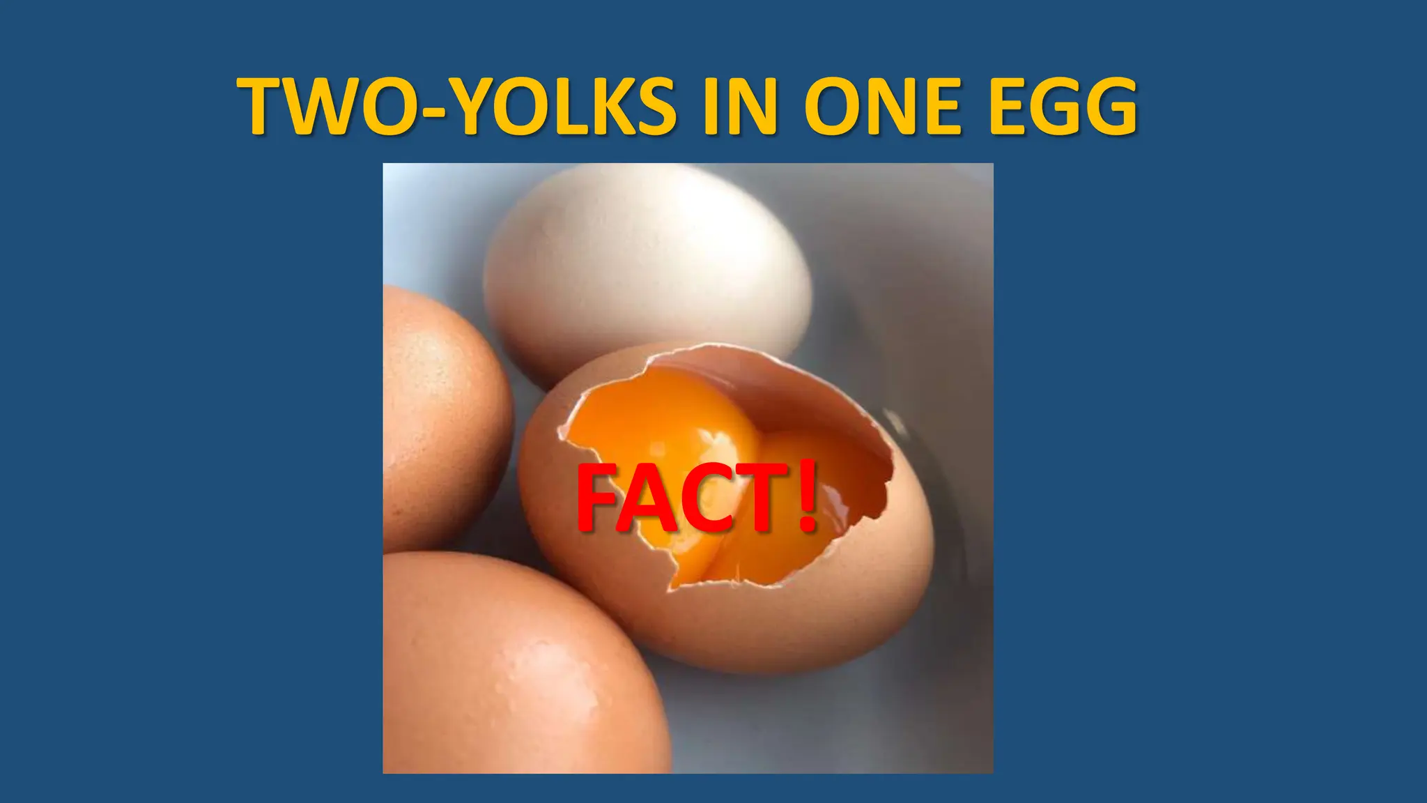 GMO Types, Processes and Description.pptx