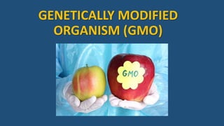 GMO Types, Processes and Description.pptx