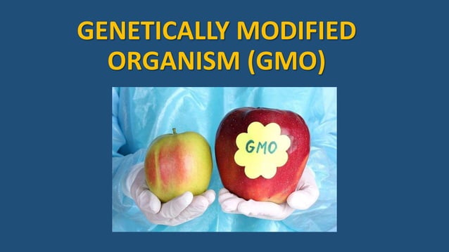 GMO Types, Processes and Description.pptx | Biotech and Biomedical ...