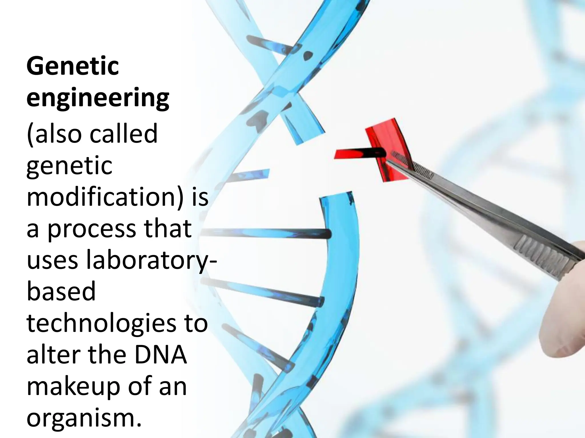 genetically modified organisms. earth and life science | PPTX