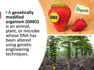 genetically modified organisms. earth and life science | PPTX