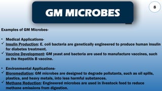 genetically modified organism for beginners.pptx