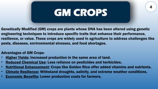 genetically modified organism for beginners.pptx