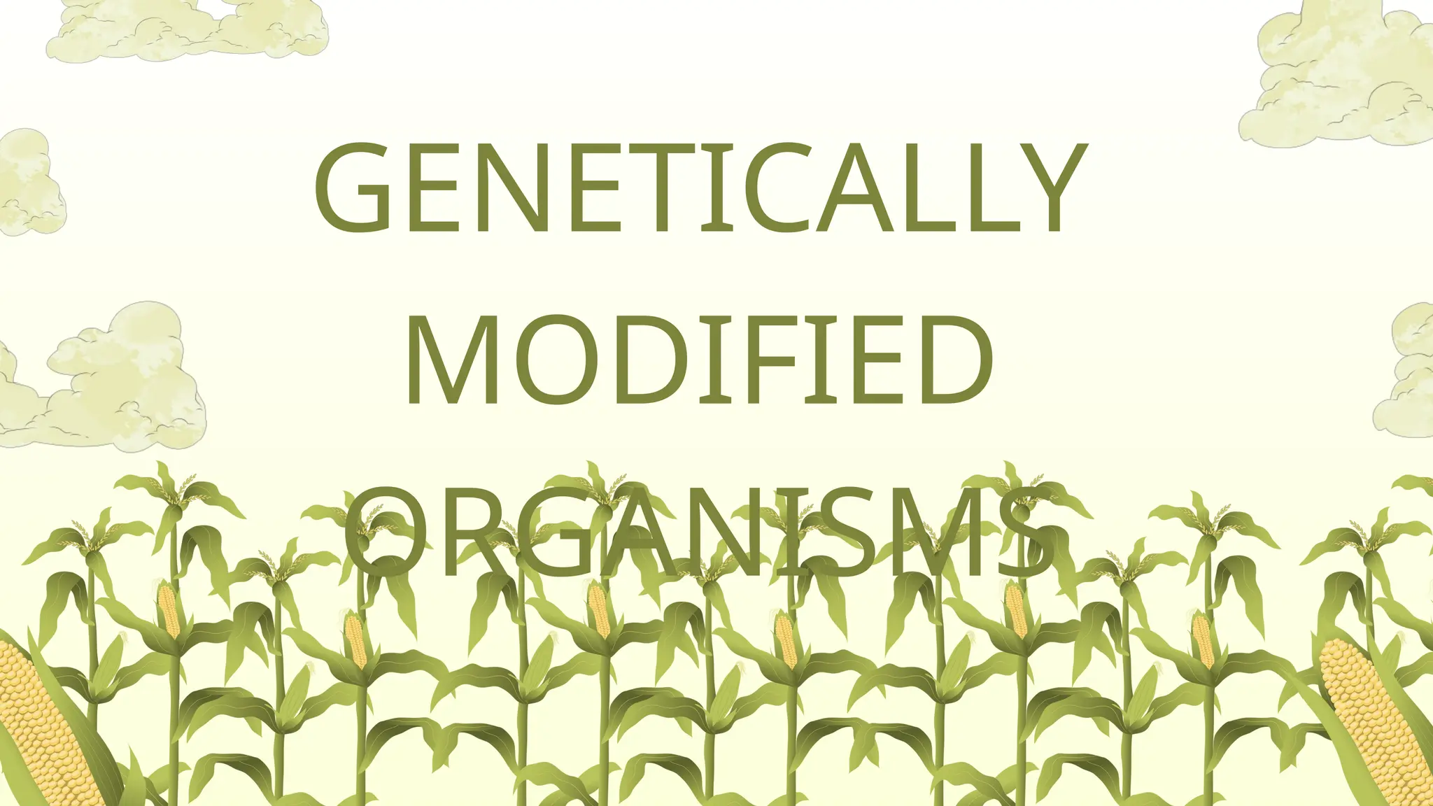 Genetically Modified or also known as GMO.pptx