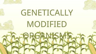 Genetically Modified or also known as GMO.pptx