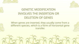 Genetically Modified or also known as GMO.pptx