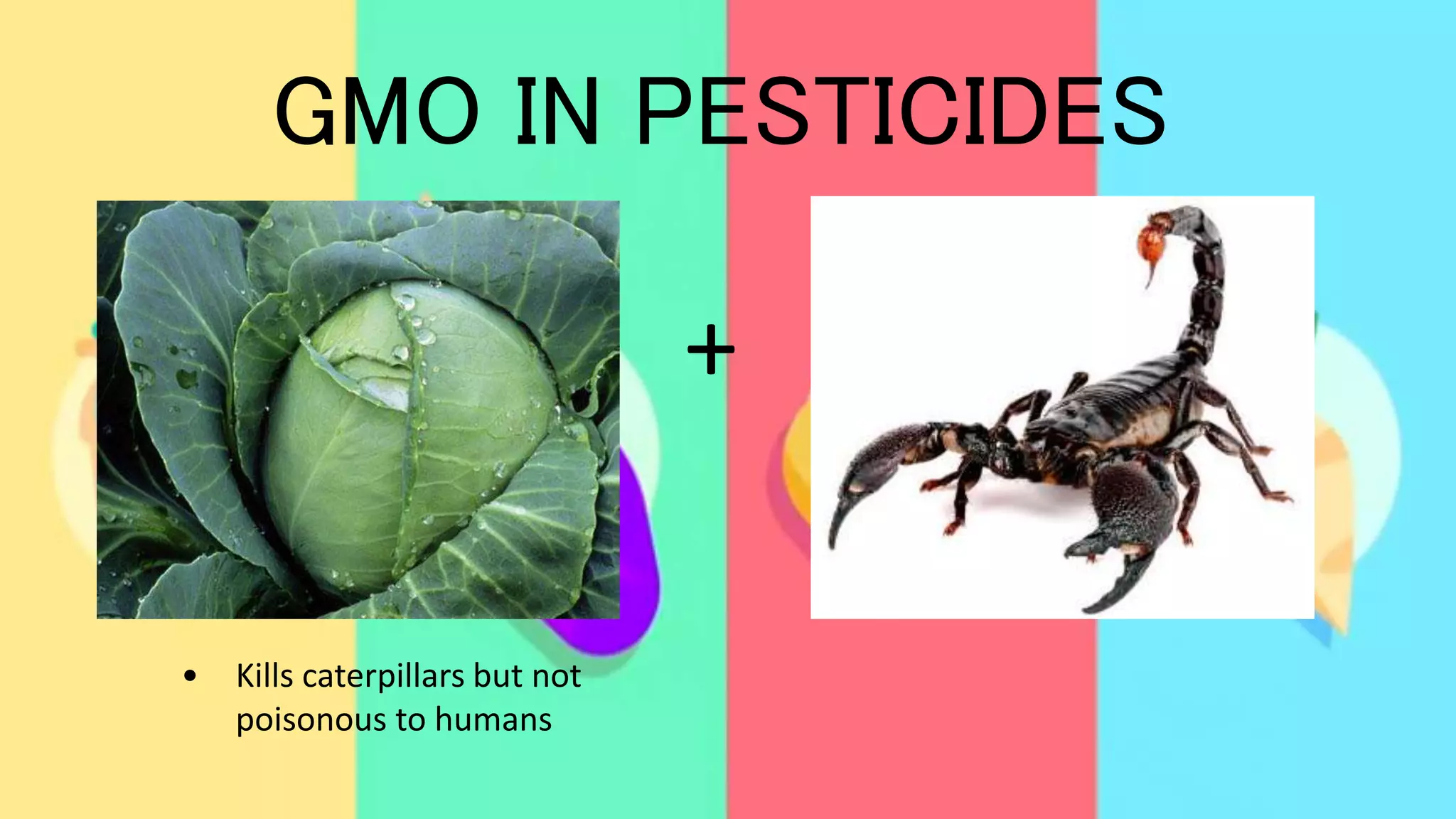 Genetically Modified Organisms (GMO) - Science, Biology | PPTX