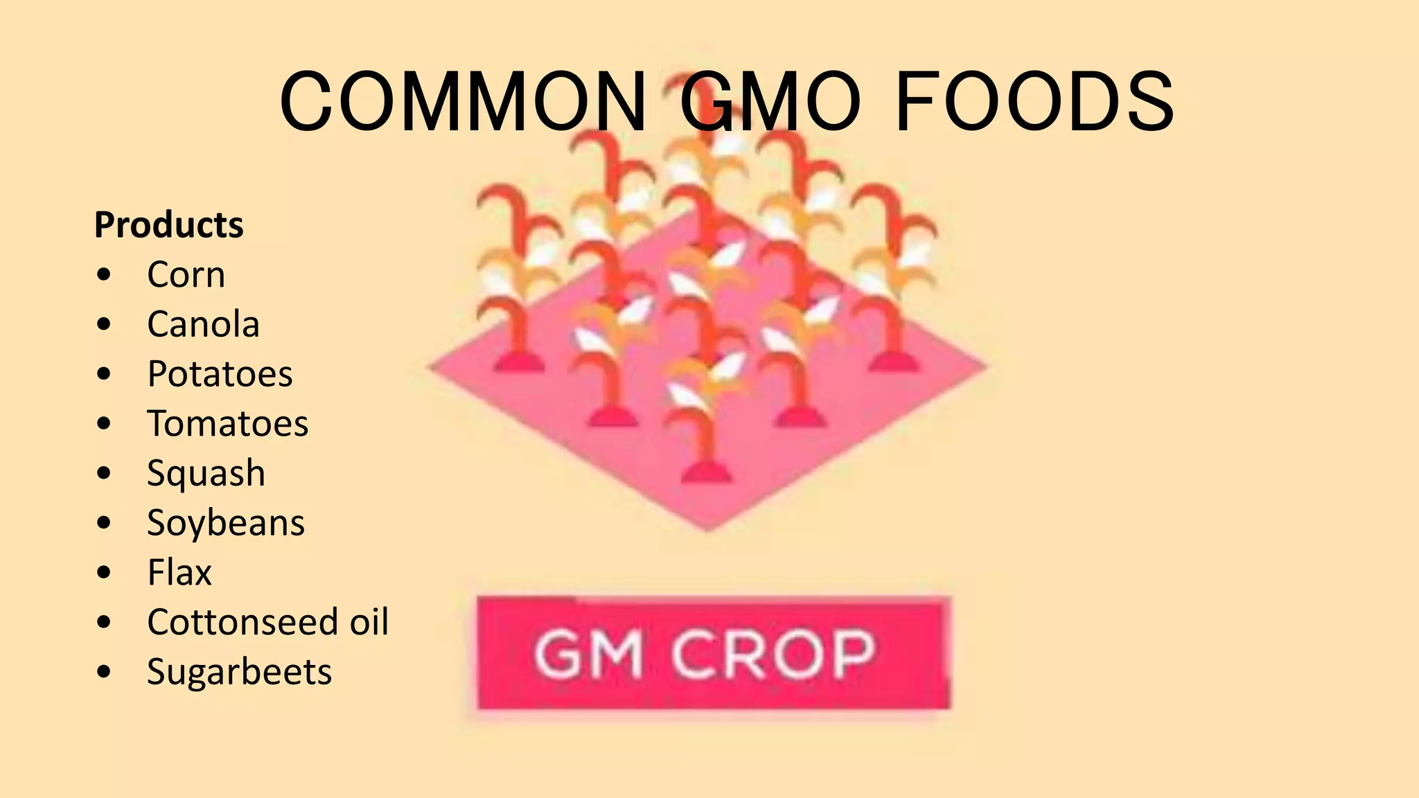 Genetically Modified Organisms (GMO) - Science, Biology | PPTX