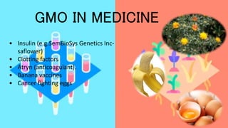 Genetically Modified Organisms (GMO) - Science, Biology | PPTX