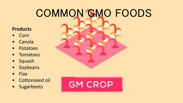 Genetically Modified Organisms (GMO) - Science, Biology | PPTX