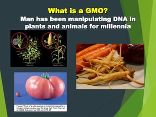 BIOTECHNOLOGY-GMO-Introduction-11-13-18.ppt
