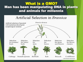 BIOTECHNOLOGY-GMO-Introduction-11-13-18.ppt