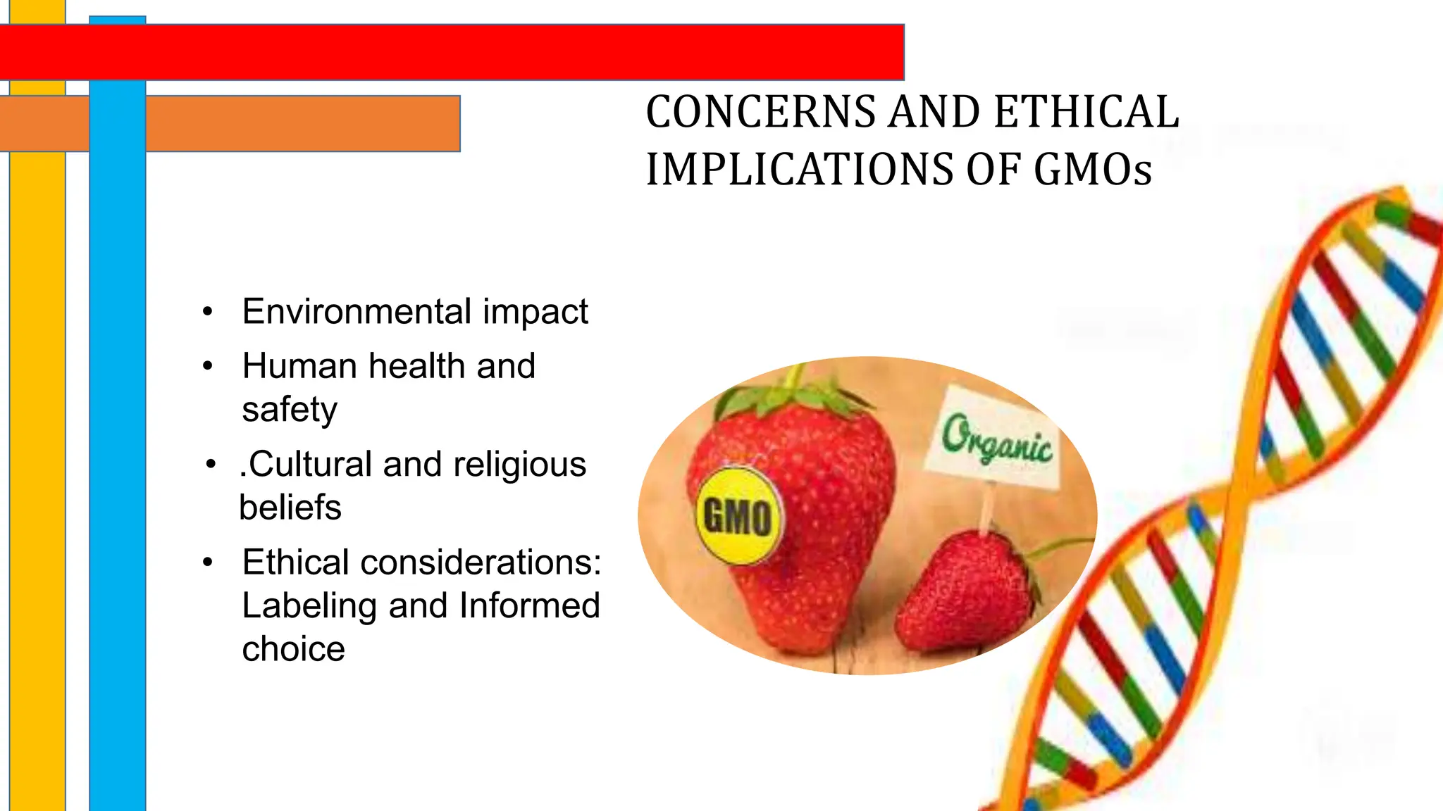 GMO-REPORT.pptx