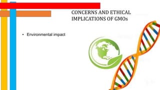 GMO-REPORT.pptx