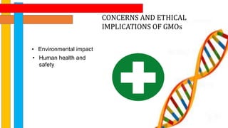 GMO-REPORT.pptx
