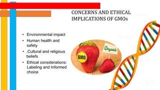 GMO-REPORT.pptx