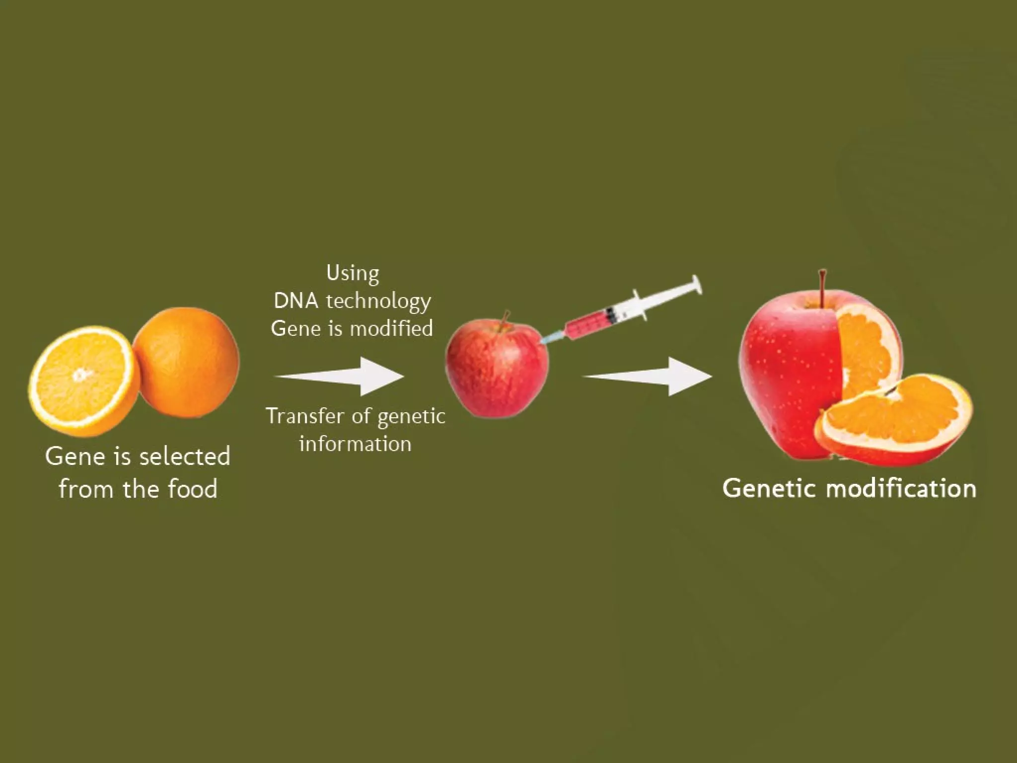 Should Genetically Modified Foods (GM Foods) Be Banned? | PPT