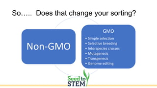gmo | PPTX