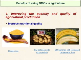 Gmo why not | PPT