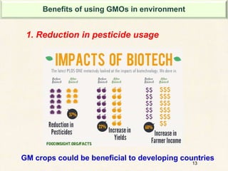 Gmo why not | PPT