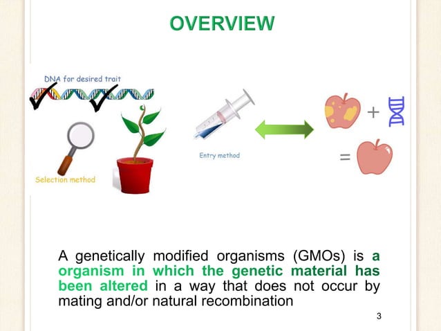 Gmo why not | PPT