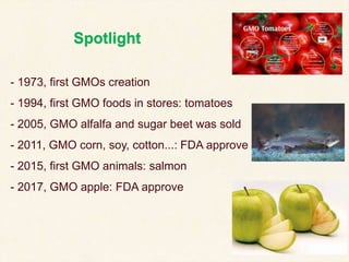 Gmo why not | PPT